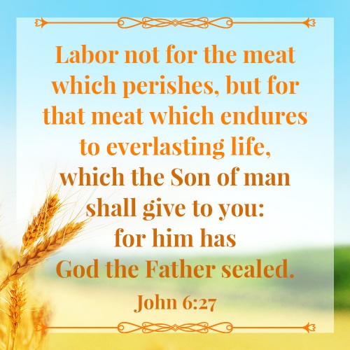 Bible Verse - John 6:27