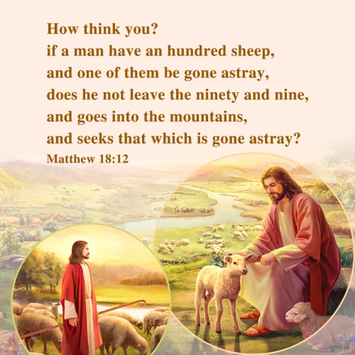 Bible Verse Image – Leviticus 11: 45