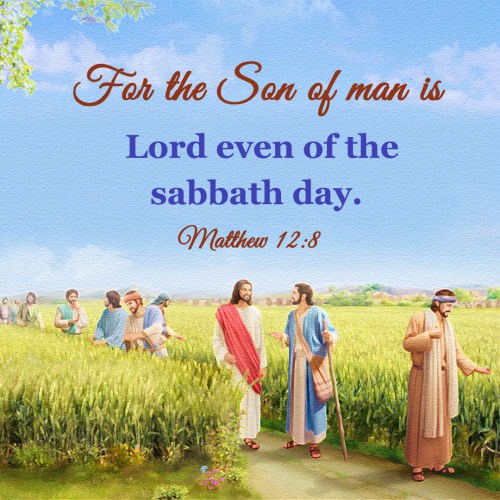 Bible Verse – Matthew 12:8