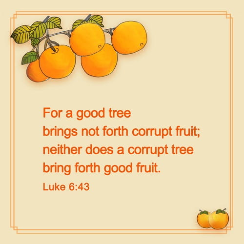 Bible Verse – Luke 6:43
