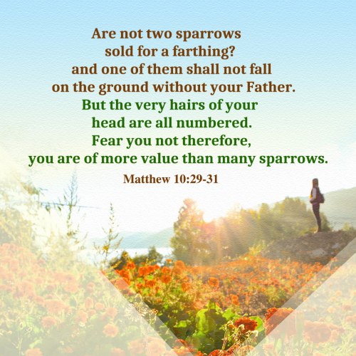 Matthew 10:29-31 | Bible Verse Image