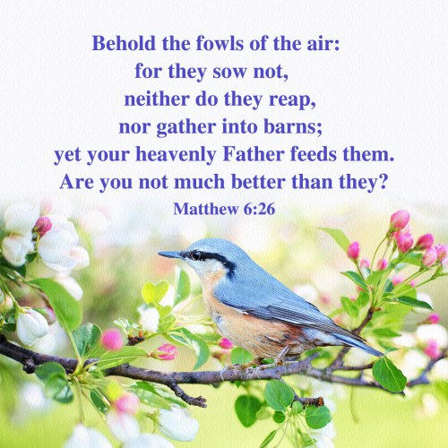 Bible Verse Matthew 6 26