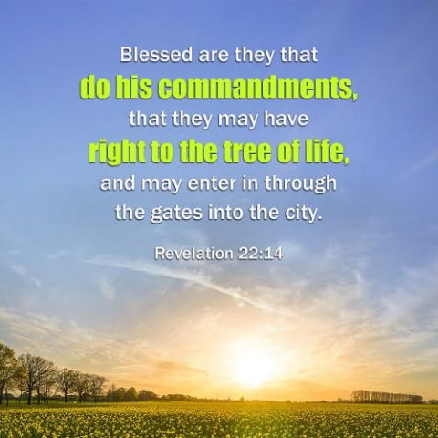 Bible Story Jesus Healing the Bleeding Woman