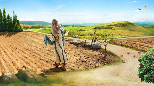 Inspiration From the Parable of the Sower in the Bible – Thanks for ...