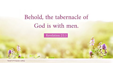 Reflection on Revelation 21:4 – No More Tears in Heaven